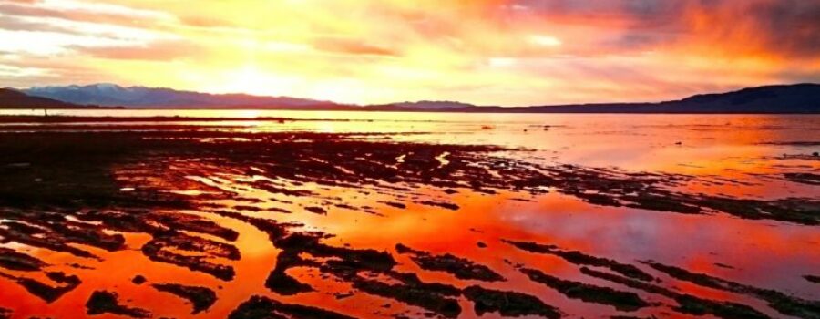Understanding Water Levels at Utah Lake | Utah Lake Official Website