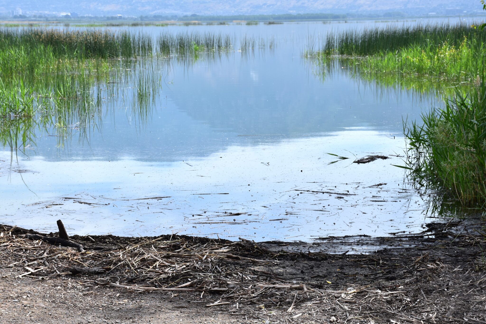 Water Levels – Utah Lake